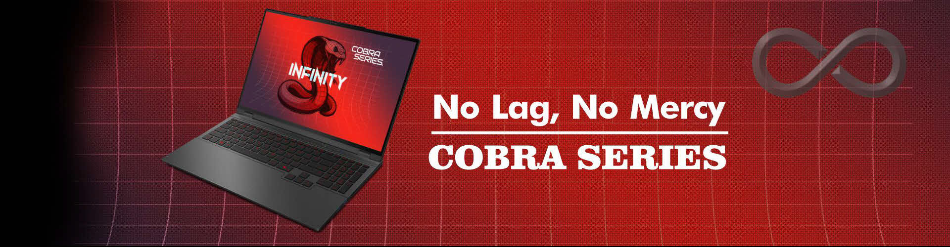 Infinity Gaming Cobra laptop notebook - Free Delivery and No Surcharge ...